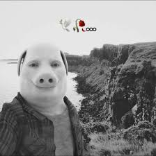 John Pork (sad) by Lizz Hatt – The Hoot